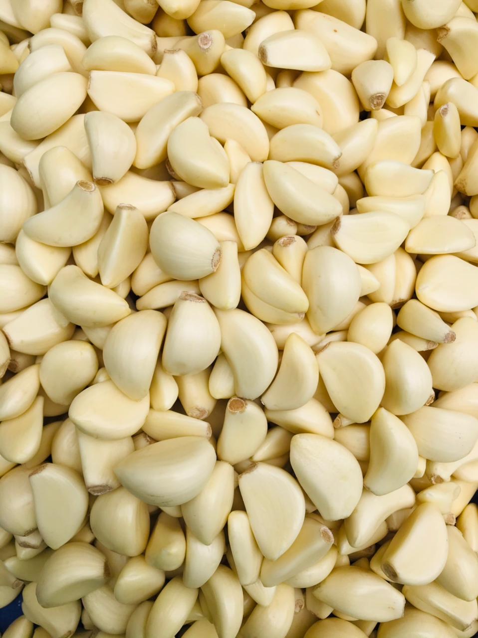 Productos - Ajopelcolombia