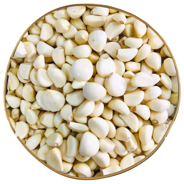 Ajopel Colombia pioneros en ajo pelado en Colombia.